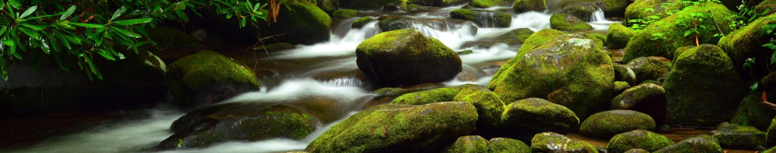 Area Wide Protective (AWP) Changes Name to AWP Safety - Kohlberg